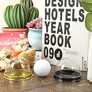 Pralb 100 Set Clear Plastic Mini Cupcake Boxes Muffin Pod Dome Muffin Single Container Box Wedding Birthday Gifts Supplies,70mm X 45mm(Dia X H),for Cheese Pastry Dessert Mooncake(50 Gold/50 Black)