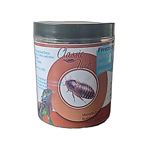 Classic Flock 2oz Freeze-Dried Dubia - High Protein Reptile & Amphibian Food