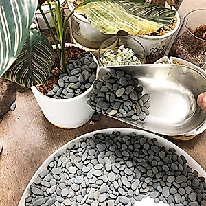 Black Rock, CJGQ 3lb River Rocks Pebbles for Plants Succulents, Decorative Outdoor Landscaping Garden Rocks, Natural Small Mexican Beach Pebbles Aquarium Rocks Gravel for Fish Tanks Vase Yard Decor