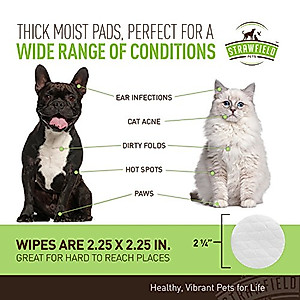 Strawfield Pets Cat & Dog Cleaning Wipes for Paws, Butt, Face, Ear & Body | Antibacterial & Antifungal Chlorhexidine Wipes for Yeast Infection Treatment, Hot Spot, Ringworm, Bacteria & Fungus