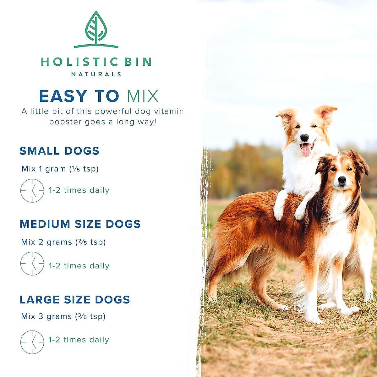 Canine Fermented Farm Superfood Dog Supplement | Vitamin & Mineral Rich Blend Packed with Dog Digestive Enzymes and Probiotics | Fermented Spinach, Pumpkin, Blueberry, Beets, & Turmeric for Dogs