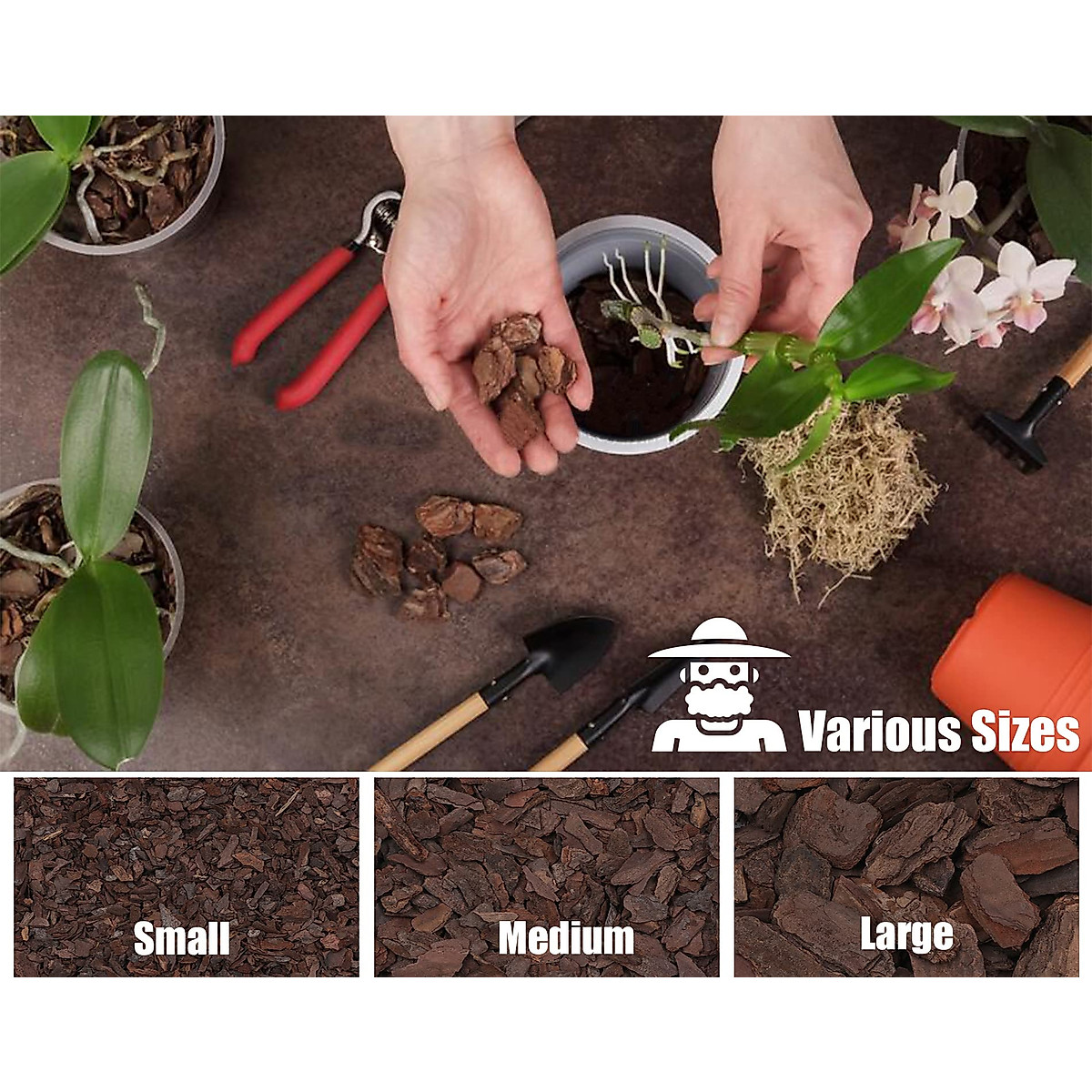 Orchid Bark for Plants Organic Pine Bark for Proper Root Development for Phalaenopsis Cattleyas Dendrobiums Oncidiums Paphiopedilums and More (1qt Medium(12-18mm))