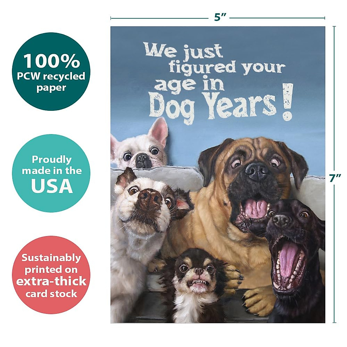 Tree-Free Greetings - Humorous Birthday Cards - Artful Designs - 1 Card + Matching Envelopes - Made in USA - 100% Recycled Paper - 5"x7" - Dog Years (GO61211)