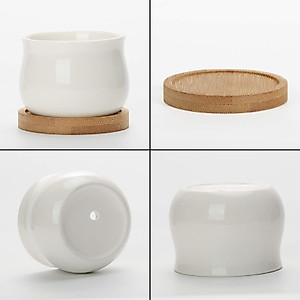 ZOUTOG 12 Pack Succulent Pots, 2.6 Inch Mini Ceramic Pots for Flower or Cactus with Drainage Hole, Small Pots for Plants, Plants Not Included