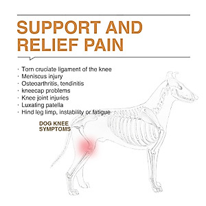 LISPOO Dog Acl Knee Brace for Torn Acl Leg，Luxating Patella，Dog Knee Braces for Back Leg Warm Joint and Relieves Joint Pain,Better Recovery with Dog Acl Knee Brace(L)