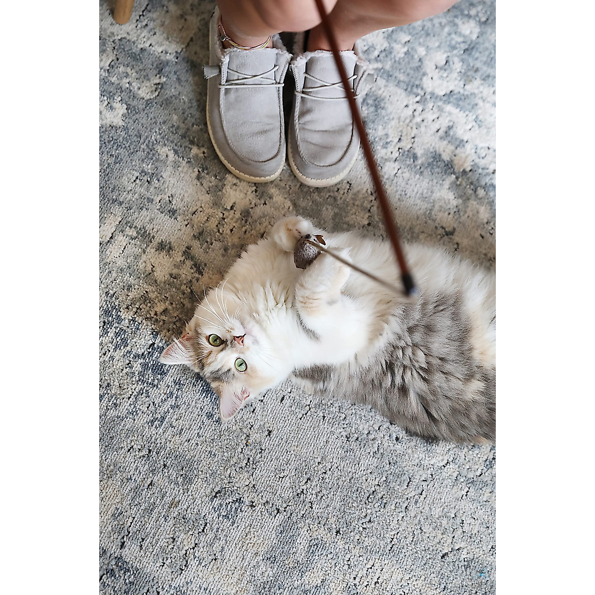 OurPets Play-N-Squeak Teathered & Feathered Play Wand Cat Toy, for All Breed Sizes