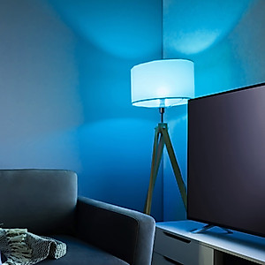 Monster Multi-Color and Warm-White LED Light Bulb, 16,000,000 Lighting Possibilities, Customizable with App, Compatible with Alexa/Siri/Google Assistant, Wi-Fi Enabled, 2-Pack, 9 Watt