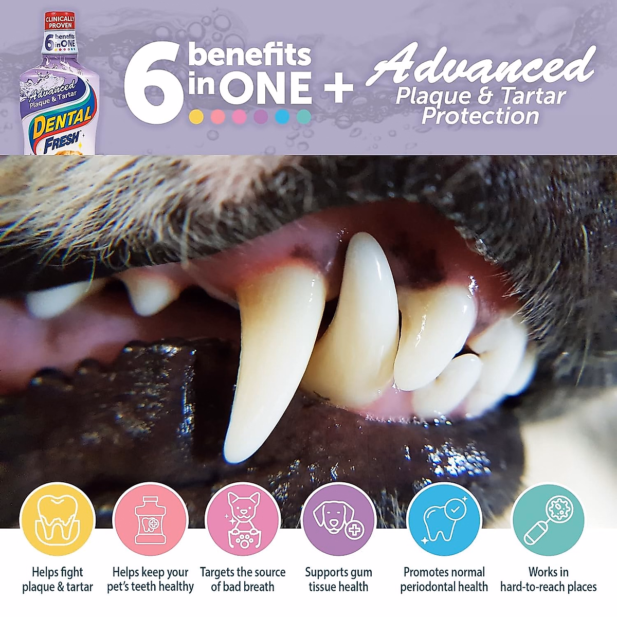 Dental Fresh Advanced Plaque and Tartar Water Additive, 8oz – Dog Teeth Cleaning Formula to Freshen Breath and Improve Overall Oral Health