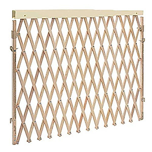 Evenflo Expansion Walk Thru Room Divider Gate