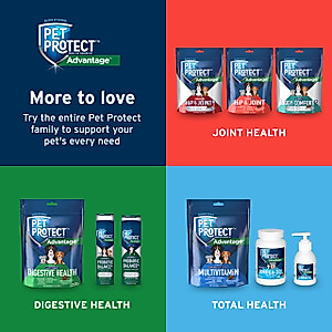 Pet Protect from The Makers of Advantage Vet-Formulated Dog Digestive Health Supplement | 60 Chews