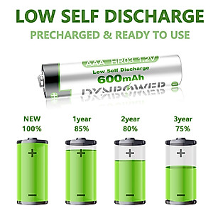 Dynpower NiMH AAA 600mAh Rechargeable Batteries 1.2V,Pre-Charged Triple A for Outdoor Solar Lights Garden Light and Household Devices, (Pack of 12)