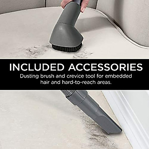 Shark Navigator NV60 -RED Powered Lift-Away TruePet Upright Corded Bagless Vacuum for Carpet and Hard Floor with Hand Vacuum and Anti-Allergy Seal (Shark.Navigator NV60=RED)