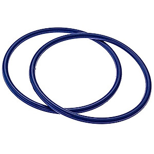 Pool Ruler R172009 Chlorine Resistant VITON O-Ring 2 Pack + Lubricant for Pentair Rainbow Chlorinator 300 & 320 Lid