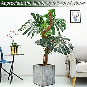 48 Inch Bendable Moss Pole for Plants Monstera, Tall Moss Poles for Climbing Plants Indoor, Large Moss Pole Support, Garden Trellis Plant Stick Stakes for Potted Plants, Pothos