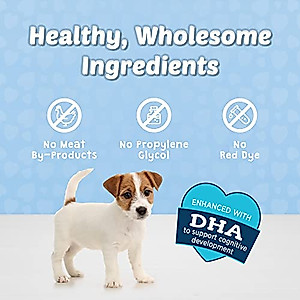 Blue Buffalo BLUE Bits Natural Soft-Moist Training Dog Treats TO-GO, Chicken Recipe 1-oz Bags (Pack of 12)