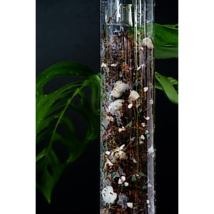 THICCLY Medium 3.0 GrowPole (5 Piece Set) Front Opening Plastic Moss Poles for Monstera