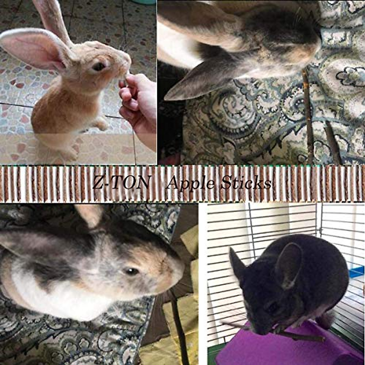 Z-TON Apple Sticks Pet Chew Toys for Chinchillas Guinea Pigs Rabbits Small Animals (100g)