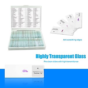 Microscope Slides, 100 Pcs Prepared Microscope Slides with Specimens for Kids Home School Class Learning