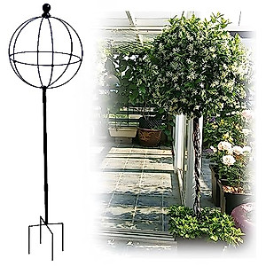 Metal Garden Obelisk Trellis with Spherical Flower Stand, for Climbing Plant Rose Clematis Flowers, Plant Support Frame with Stakes (Color : Green, Size : 127.5cm/50in)