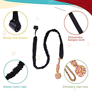 LovelyPaws Spring Pole Dog Rope Toys, Dog Interactive Hanging Tree Tug Toy Indoor and Outdoor with 3 Chew Toys for Dogs