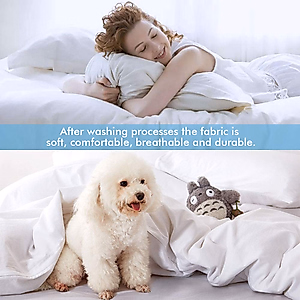 USHA BEDDING'S Duvet Cover Set Super King Size - 800 Thread Count 100% Egyptian Cotton Premium 3 Piece Duvet Set- Breathable with Zipper Closure- Super King(108" x 98") inches- Purple Solid