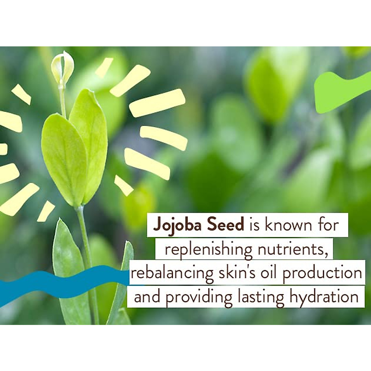 Babo Botanicals Daily Sheer Mineral Face Sunscreen Lotion SPF 40, Fragrance Free, 1.7 Fl Oz