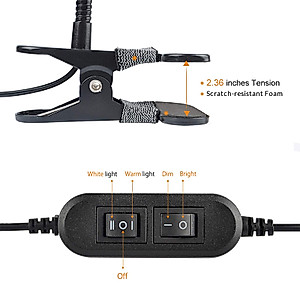 LEPOWER Clip on Light / Book Light / Reading Light with 2 Color Changeable/ Night Light Clip on for Desk, Bed Headboard and Computers (Black)