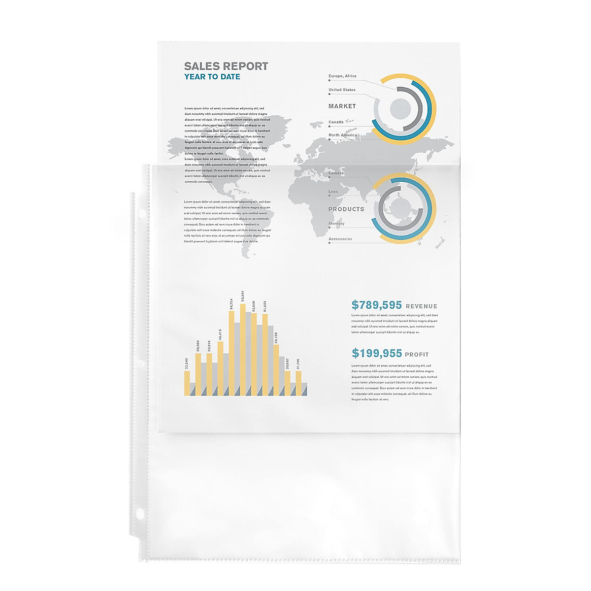 Avery Clear Economy Sheet Protectors, Top Load, 100 Document Protectors (75183)