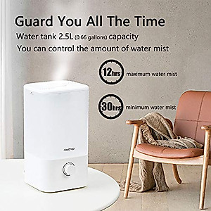 raydrop Cool Mist Humidifier, 2.5L Essential Oil Diffuser for Bedroom Nursery,Home and Office, Adjustable Mist,Auto Shut-Off, Easy to Clean,Dial Knob
