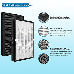 Rioche TT-AP003 Premium H13 True HEPA Replacement Filter, Compatible with TaoTronics TT-AP003 Air Purifier, 3-in-1 Premium H13 True HEPA Filter, 2-Pack