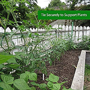 Garden Tree Tie, 164 Feet 8mm Soft Durable Green Plant Twine Stretchy Tree Supports Biodegradable for Tomato Plants, Climbing Roses and Vines Organizing