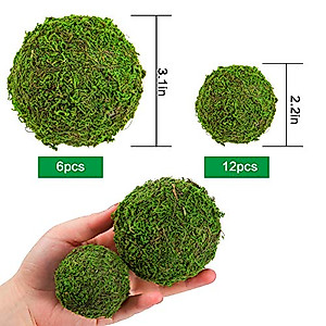 18 Pack Decorative Faux Dried Moss Balls- 6pcs 3.1" Artificial Green Plant Mossy Globes+ 12pcs 2.2" Handmade Sphere Moss Hanging Balls for Home Garden Decors Party Wedding Display Supplies Photo Props