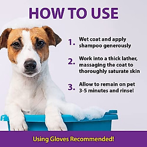 De-Skunk Odor Destroying Shampoo for Dogs, 32 oz. – Formulated with Powerful De-Greasers, Skunk Odor Remover for Pets, Carpet, Furniture and More – Removes Skunk Smell Fast, Clear, (FG00065)