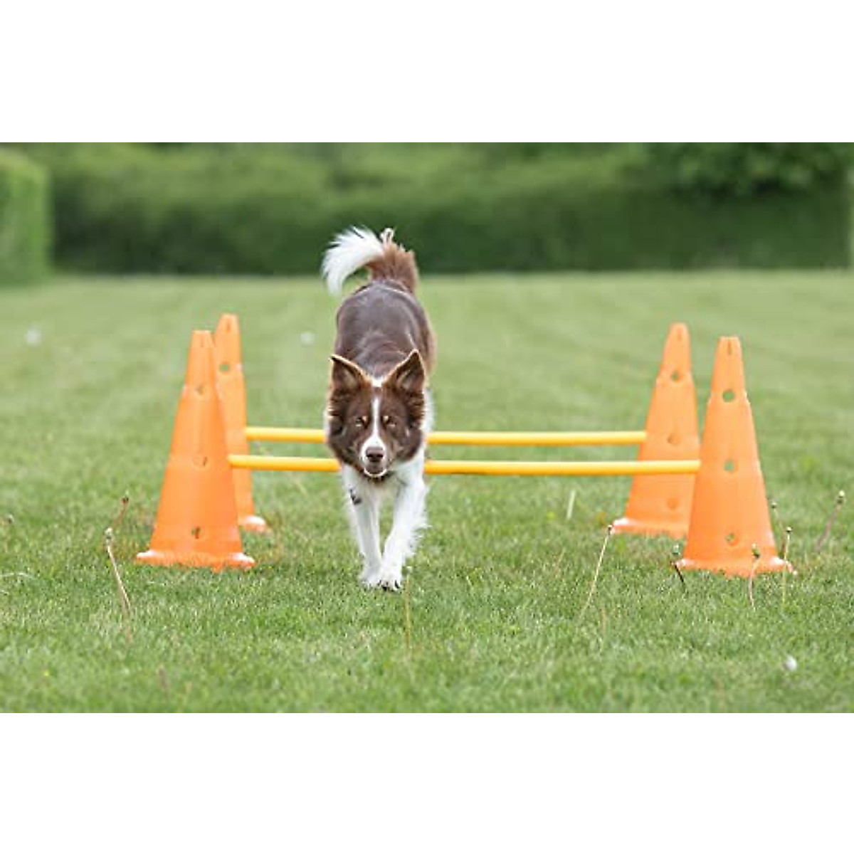 TRIXIE Dog Agility Hurdle Cone Set, Portable Canine Agility Training Set, 6 Exercise Cones with 3 Agility Rods