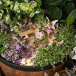 PRETMANNS Fairy Garden Fairies Figurines - Fairy for Fairy Gardens - Fairy Garden Accessories - Miniature Garden Fairy Bella & Outdoor Fairy Garden Supplies - Fairy Garden Starter Kit - 14 Pieces