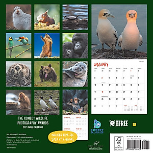 Comedy Wildlife 2021 Wall Calendar: (Funny Animal Monthly Calendar, Calendar with Photographs of Wild Animals Doing Funny Things)