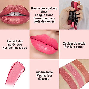 evpct 3Pcs Light Natural Pink Metallic Matte Lip Liner Pencil Crayon and Lipstick Set Long Lasting Waterproof DNM Matching Lipstick and Lip Liner Set 24 Hour labiales mate 24 horas originales 1&4&7