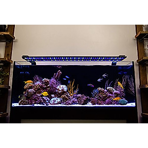 Current USA 4227 Orbit Marine IC PRO LED Reef Aquarium Dual Light System with Wireless Loop, 48"