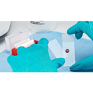 Globe Scientific 1415-10 Cover Glass, 24 x 50mm, No. 1 Thickness (Case of 10)