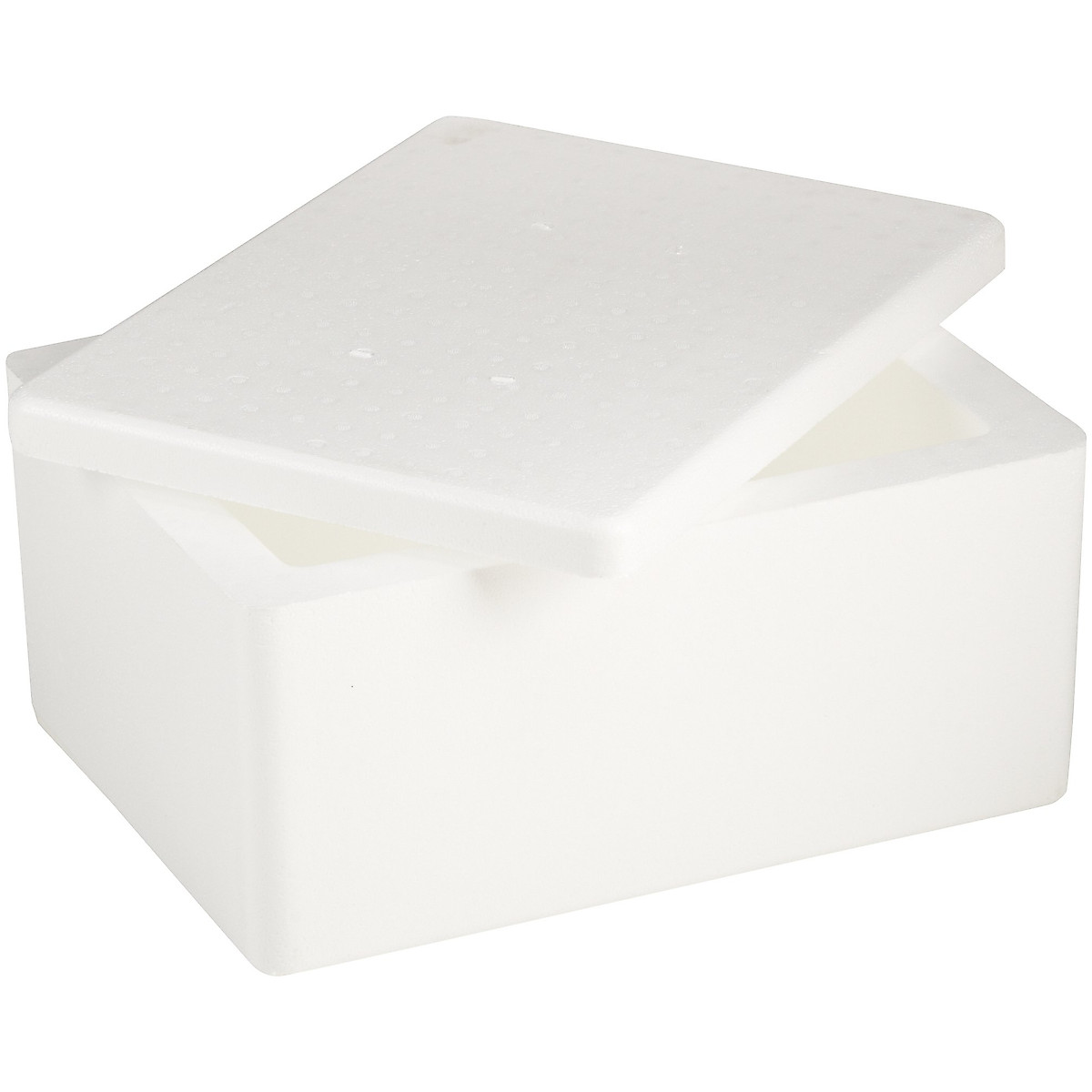 ThermoSafe 632 EPS Foam Multi Purpose Insulated Shipper Container with Corrugated Carton, 1.5" Wall Thickness, 18" L x 13.75" W x 9.125" H (Case of 6)