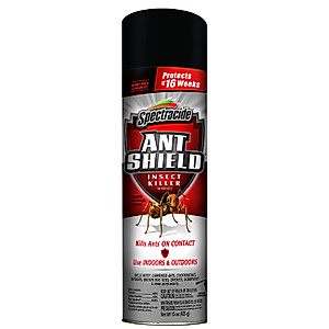 15 Oz Ant Shield Insect Killer Aerosol