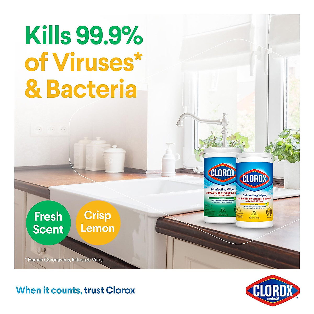 Clorox Disinfecting Wipes Value Pack, Cleaning Wipes, 75 Count Each, Pack of 3 (Package May Vary)