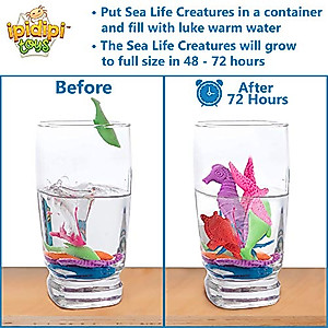 Water Growing Sea Creatures - Under The Sea Animals - 25 Pack - Individually Wrapped Favors - Expandable Animals - Party Supplies, Goodie Bags Fillers- Great Gift for Boys and Girls - Fit as Easter Egg Fillers
