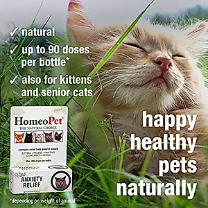 HomeoPet Feline Anxiety Relief, Stress and Anxiety Support for Cats, 15 Milliliters