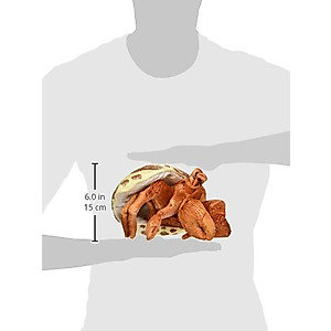 Folkmanis Hermit Crab Hand Puppet, Orange; Cream; Brown, 1 EA