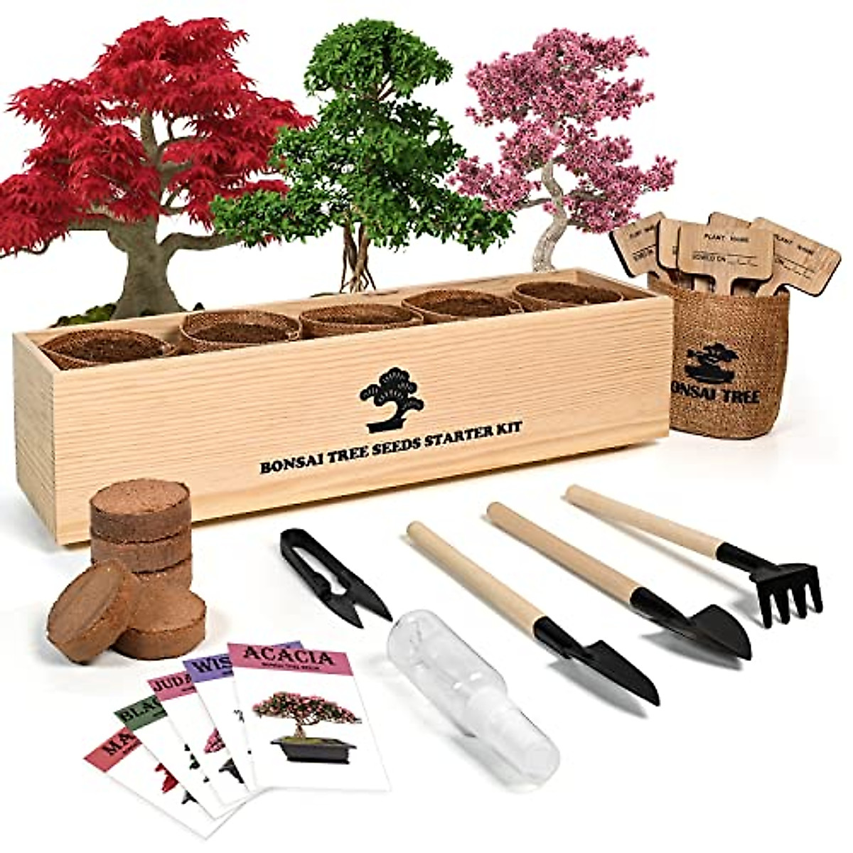Meekear Bonsai Tree Kit with Complete Growing Starter Kit, Great Potted Growing DIY Gift for Adults