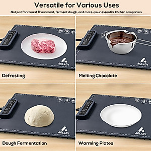 AOLADY Portable Food Warmers: Roll Up Silicone Heating Mat for Food - Foldable Electric Warming Tray Party Essentials Hot Plate Keep Food Warm Heating Trays for Parties Buffet Serving Food