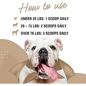 Grass-Fed Colostrum Powder Plus Mushroom Complex Powder - for Dog’s Immune Health, Skin and Allergy Relief and Vitality – Colostrum 90 Scoops - Mushroom Complex 90 Scoops