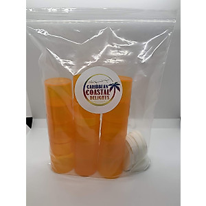 Caribbean Coastal Delights Plastic Vials with Snap Cap 30 Dram - 12 Per Bag
