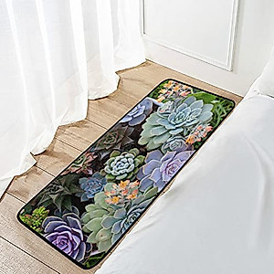 KFBE Succulents Plant Area Rugs 39x20 inch Carpet for Kitchen, Bathroom, Laundry Room, Bedroom (20809835)